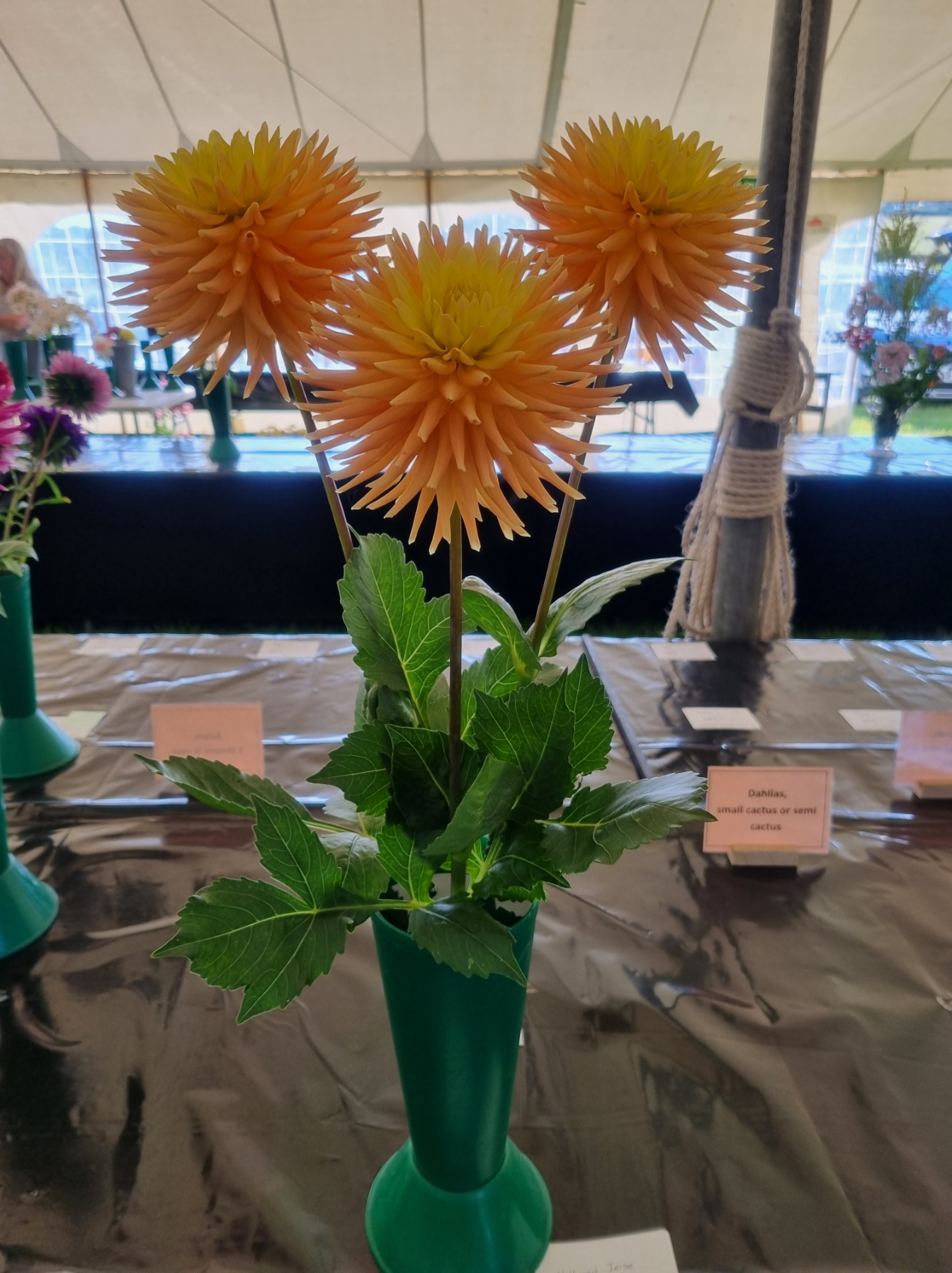 Melplash Show 2021 – Fairplace
